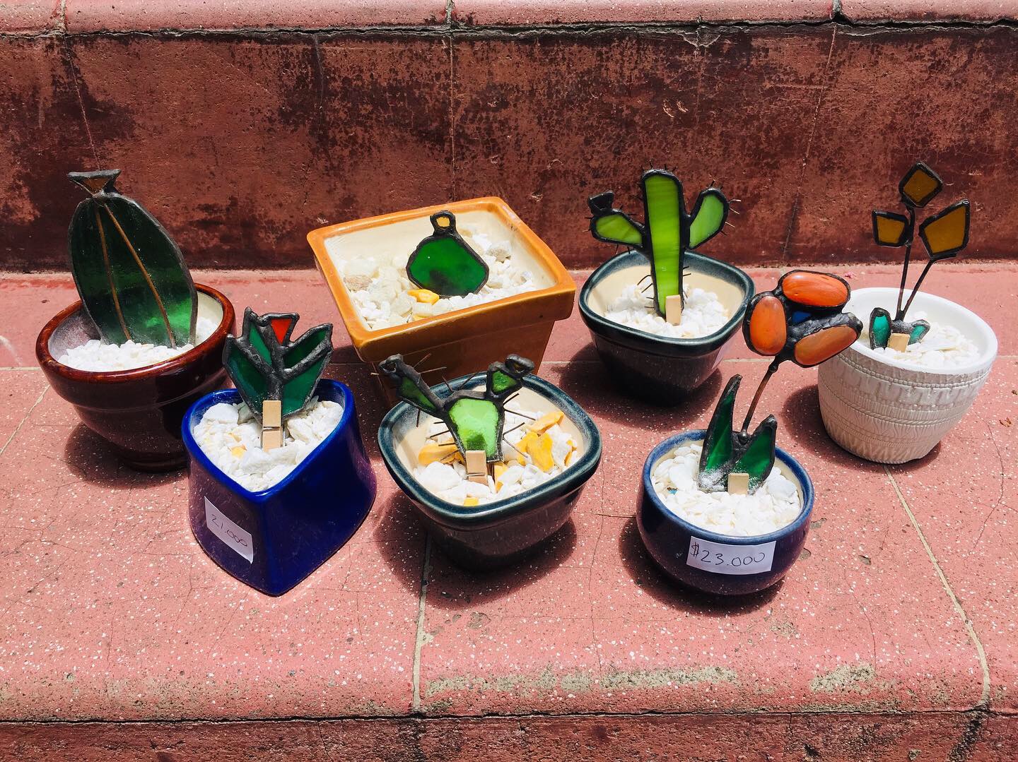 Cactus en Vitral - Negos